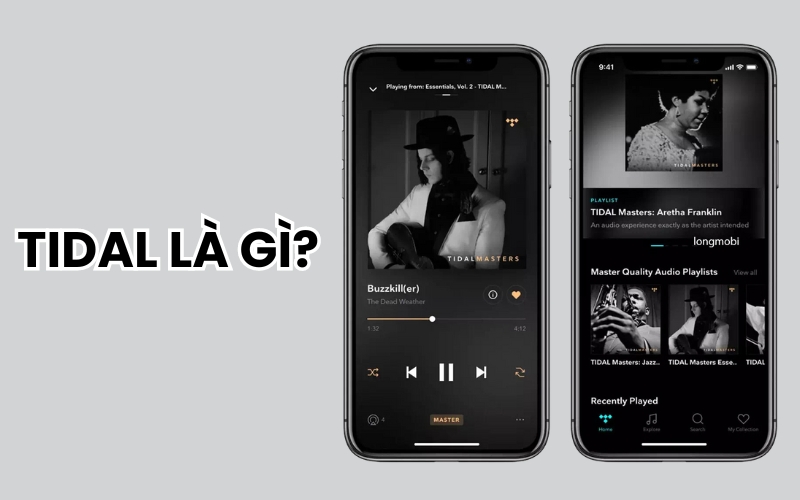 Tidal Là Gì? Tất Tần Tật Những Thông Tin Cần Biết Về Tidal